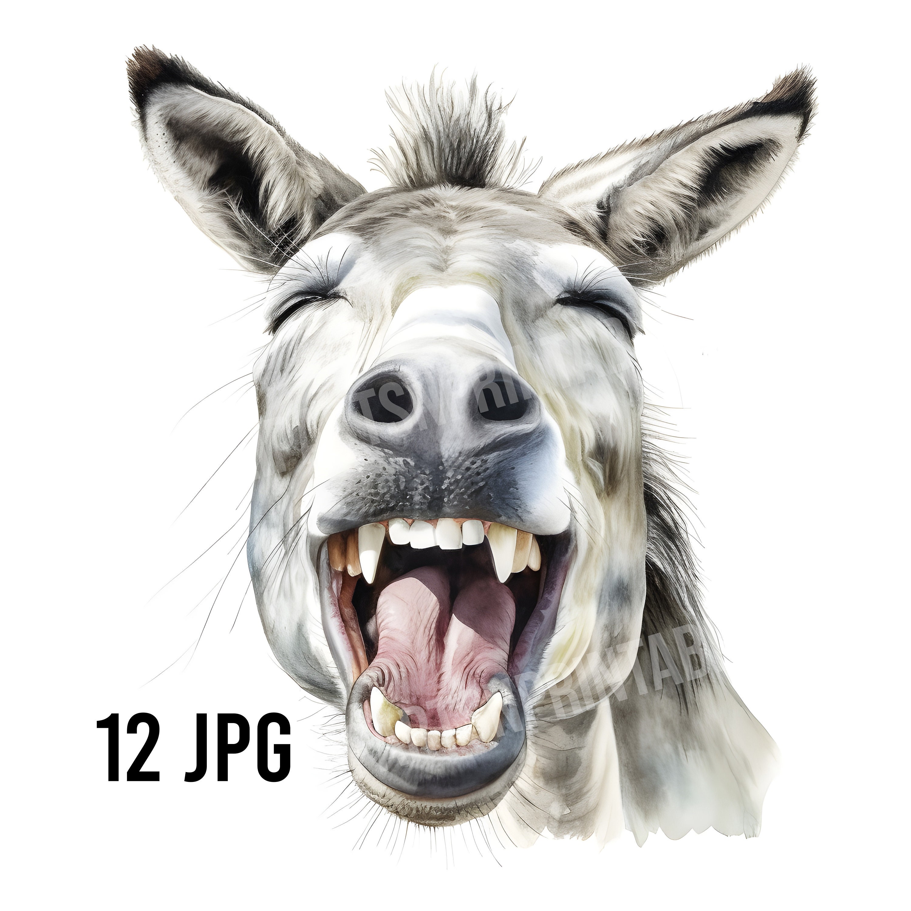 Donkey Watercolor Clipart, 12 Jpgs for Digital Download, Card Making ...
