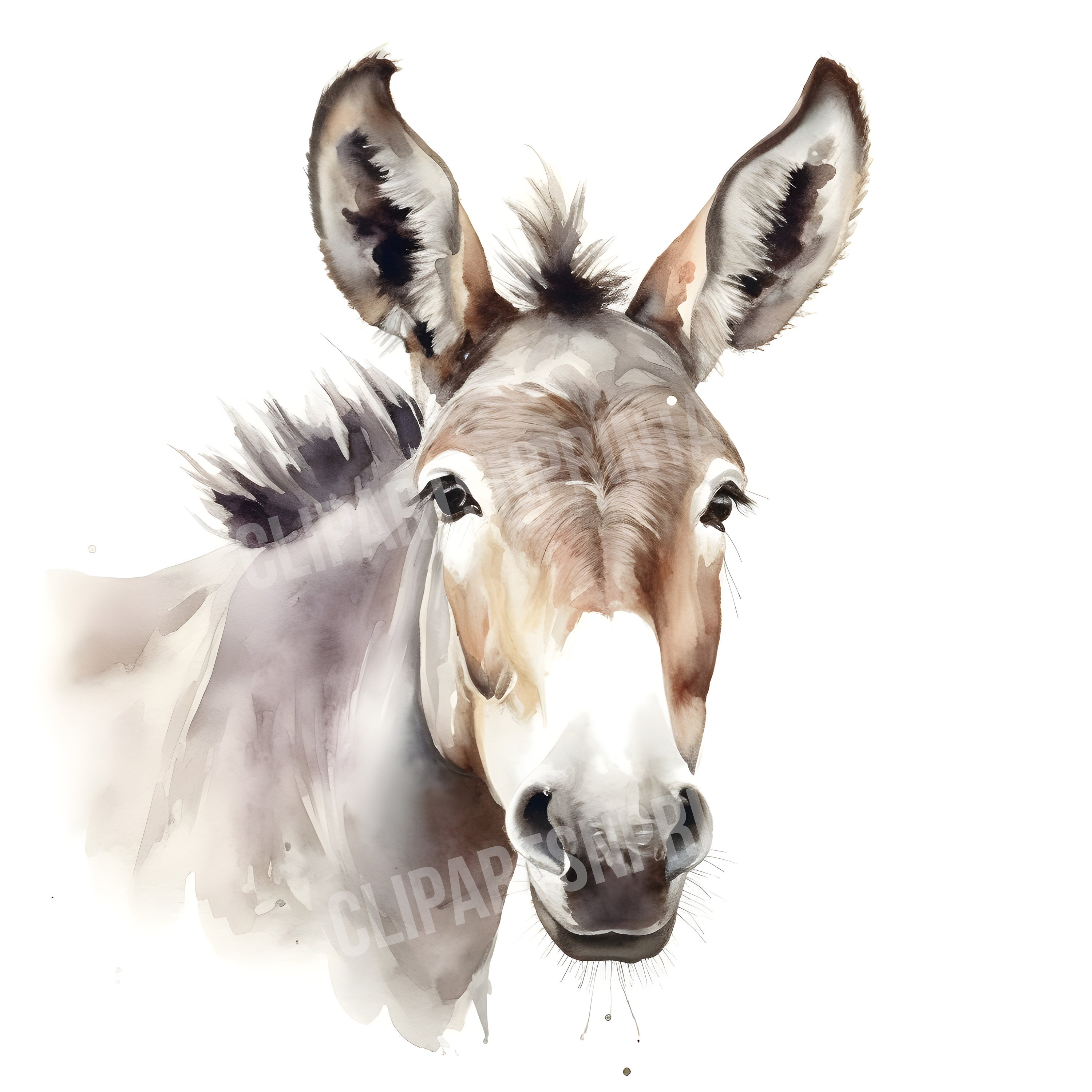 Donkey Watercolor Clipart, 12 Jpgs for Digital Download, Card Making ...