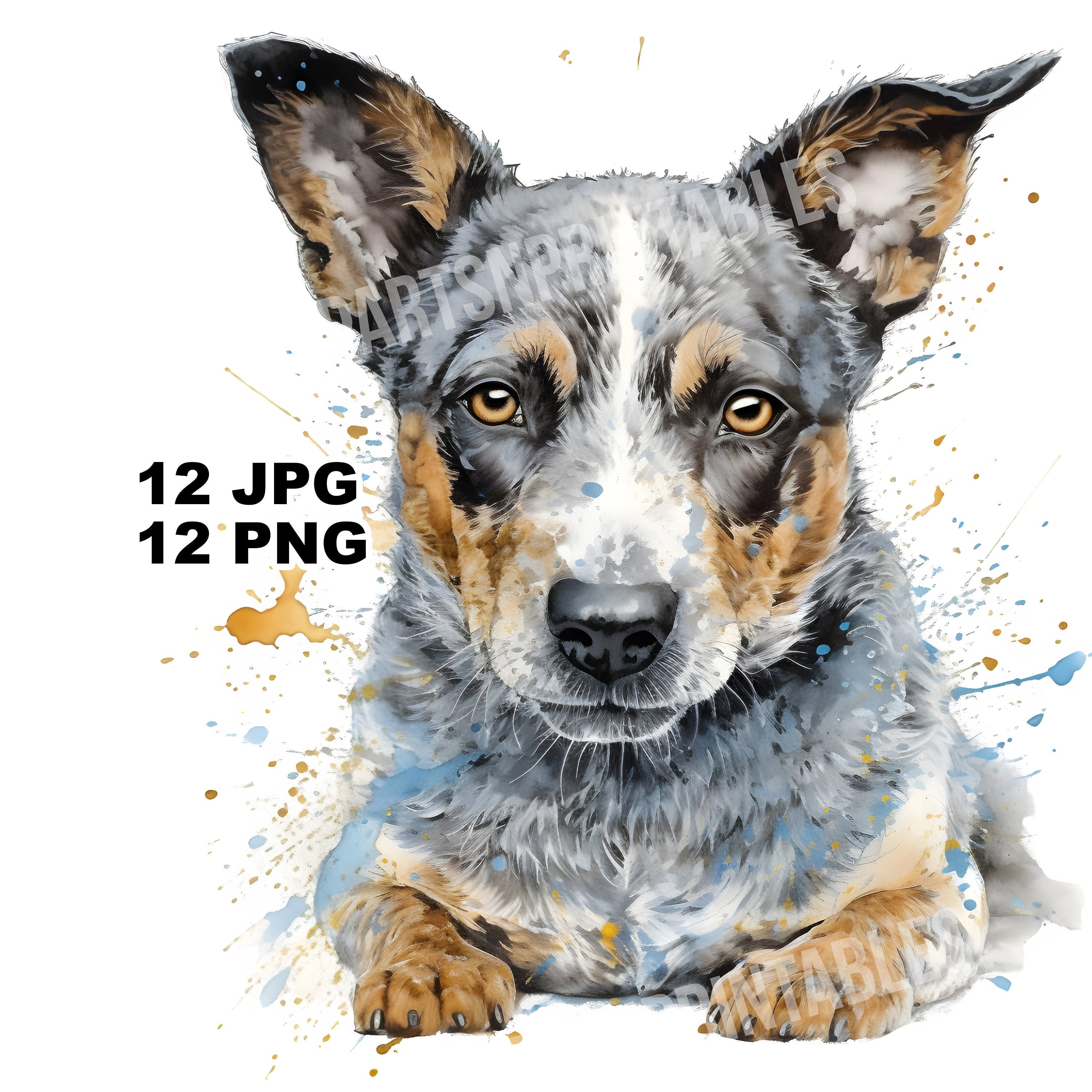 Blue Heeler Dog Clipart, 12 JPG and PNG Files for Digital Download ...