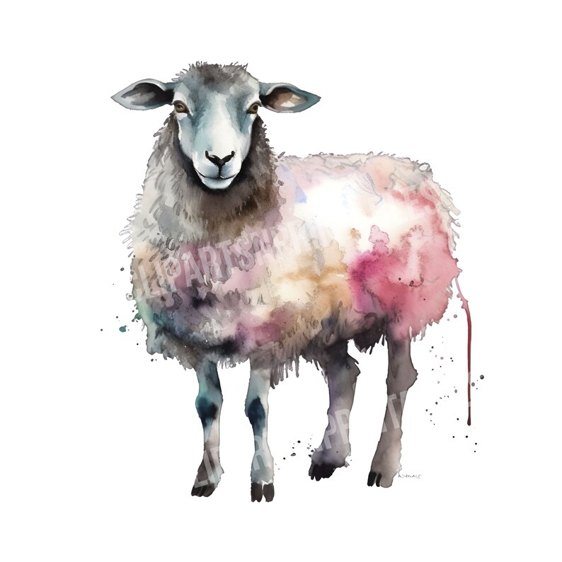 Sheep Watercolor Clipart, 12 Pngs and Jpgs and for Digital Download ...