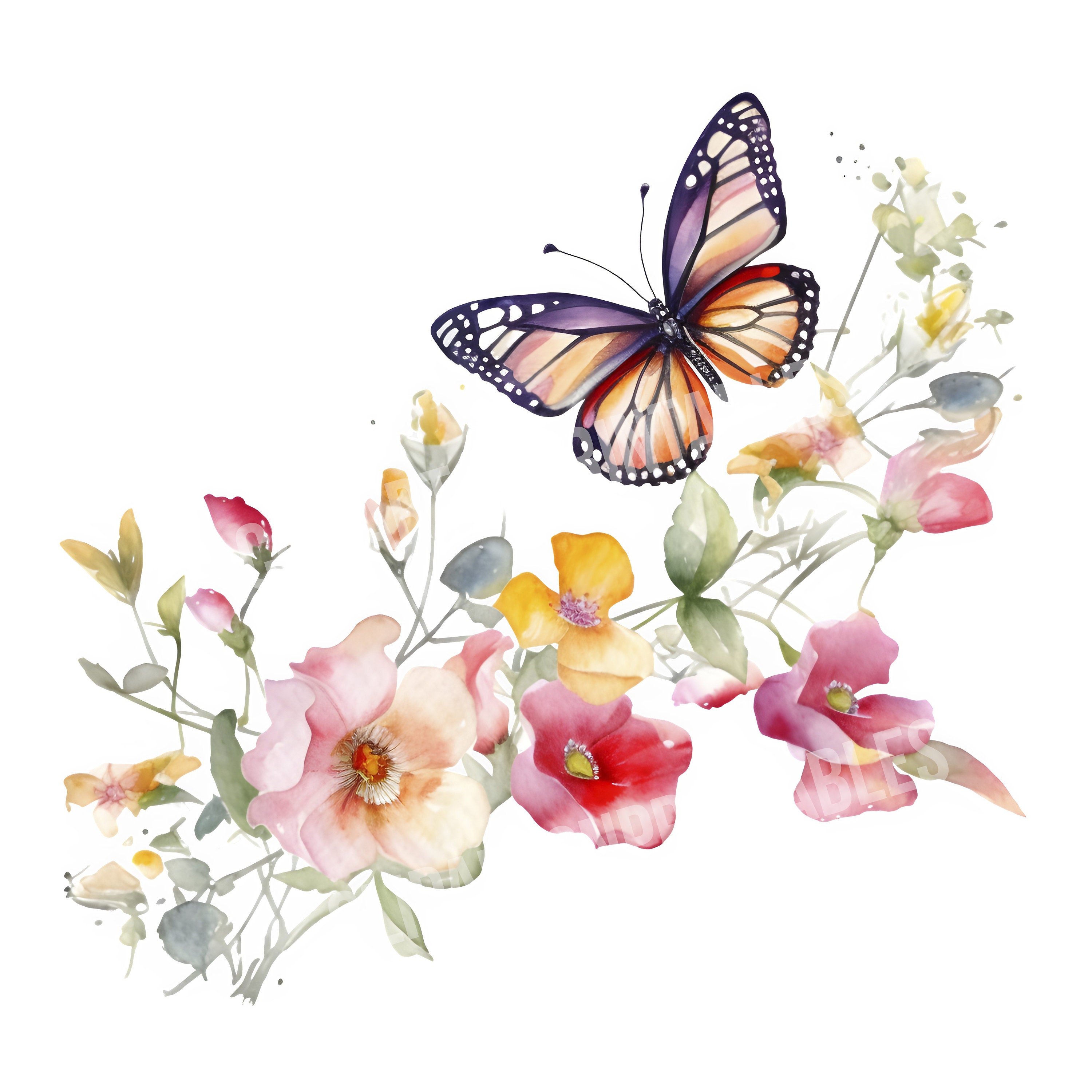 Butterfly and Flowers Watercolor Clipart, 12 Pngs and Jpgs and for ...
