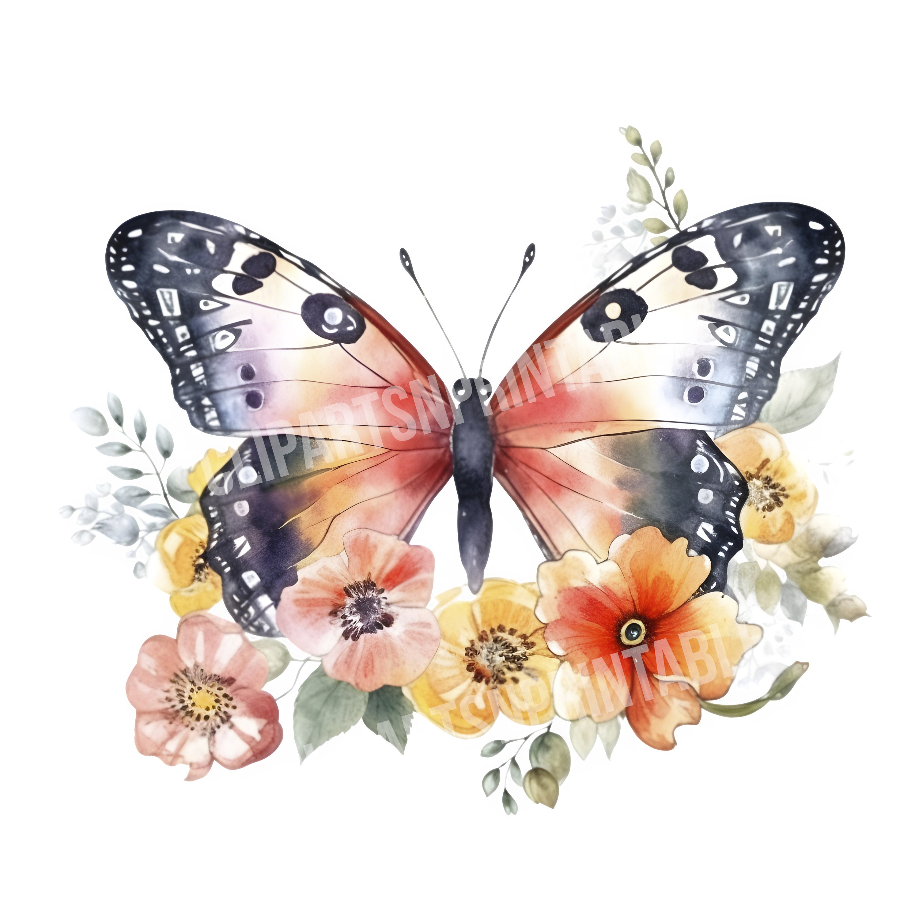 Butterfly and Flowers Watercolor Clipart, 12 Pngs and Jpgs and for ...