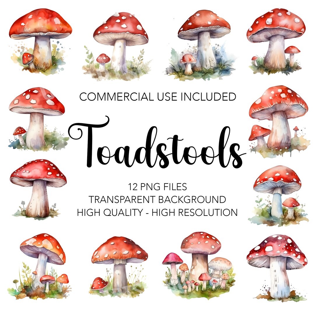 Toadstools Clipart - 12 High Quality Transparent Background Pngs ...