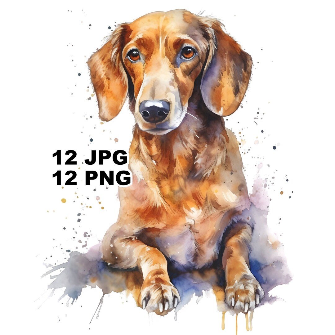 Watercolor Dachshund Dog Clipart, 12 JPG and PNG Files for Digital ...