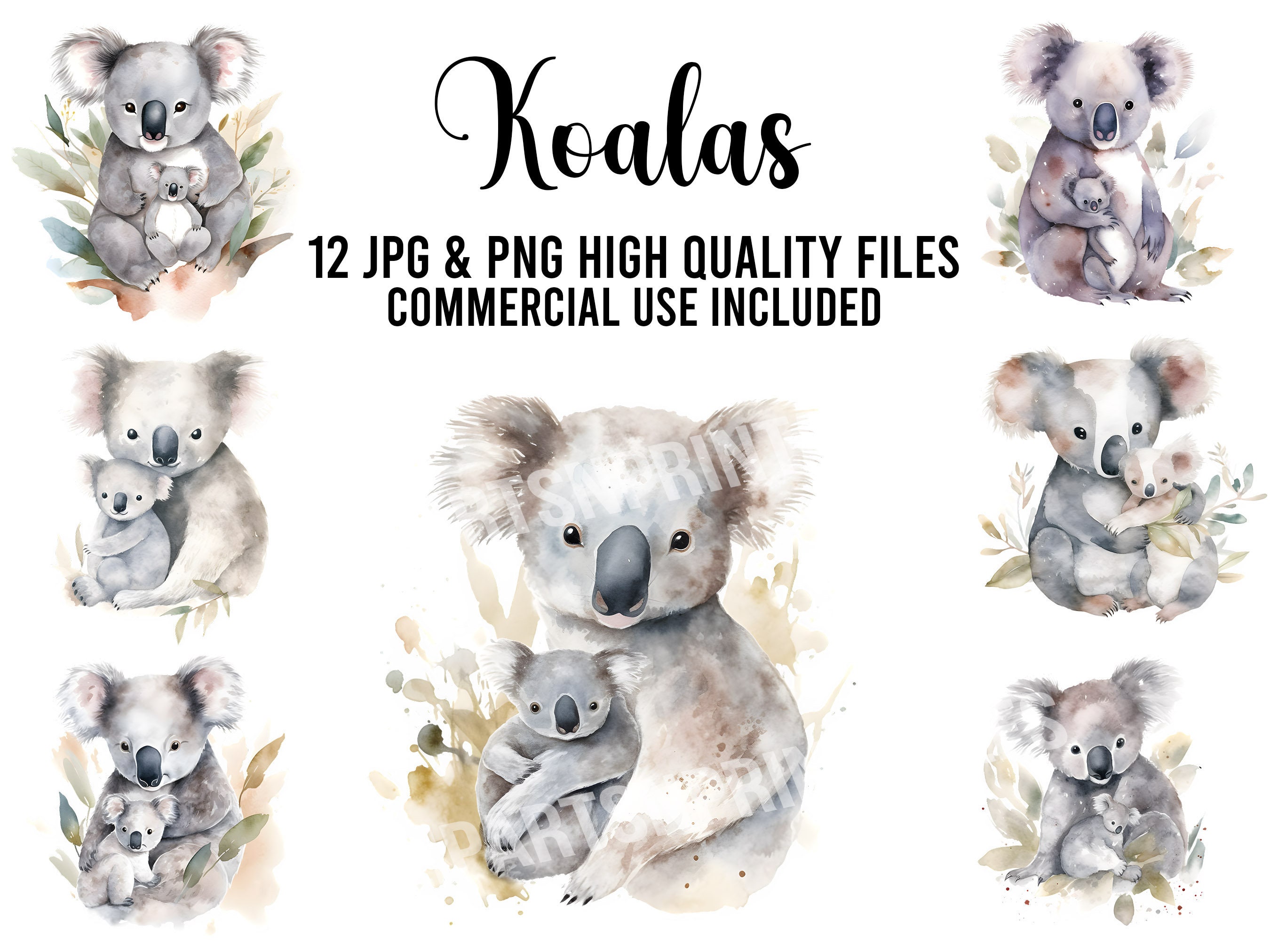 Koalas Watercolor Clipart, 12 Pngs and Jpgs and for Digital Download ...