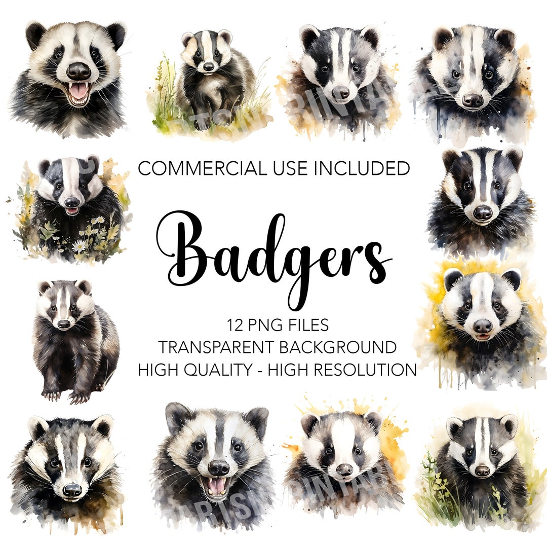 Badgers Clipart - 12 High Quality Transparent Background Pngs, Digital ...