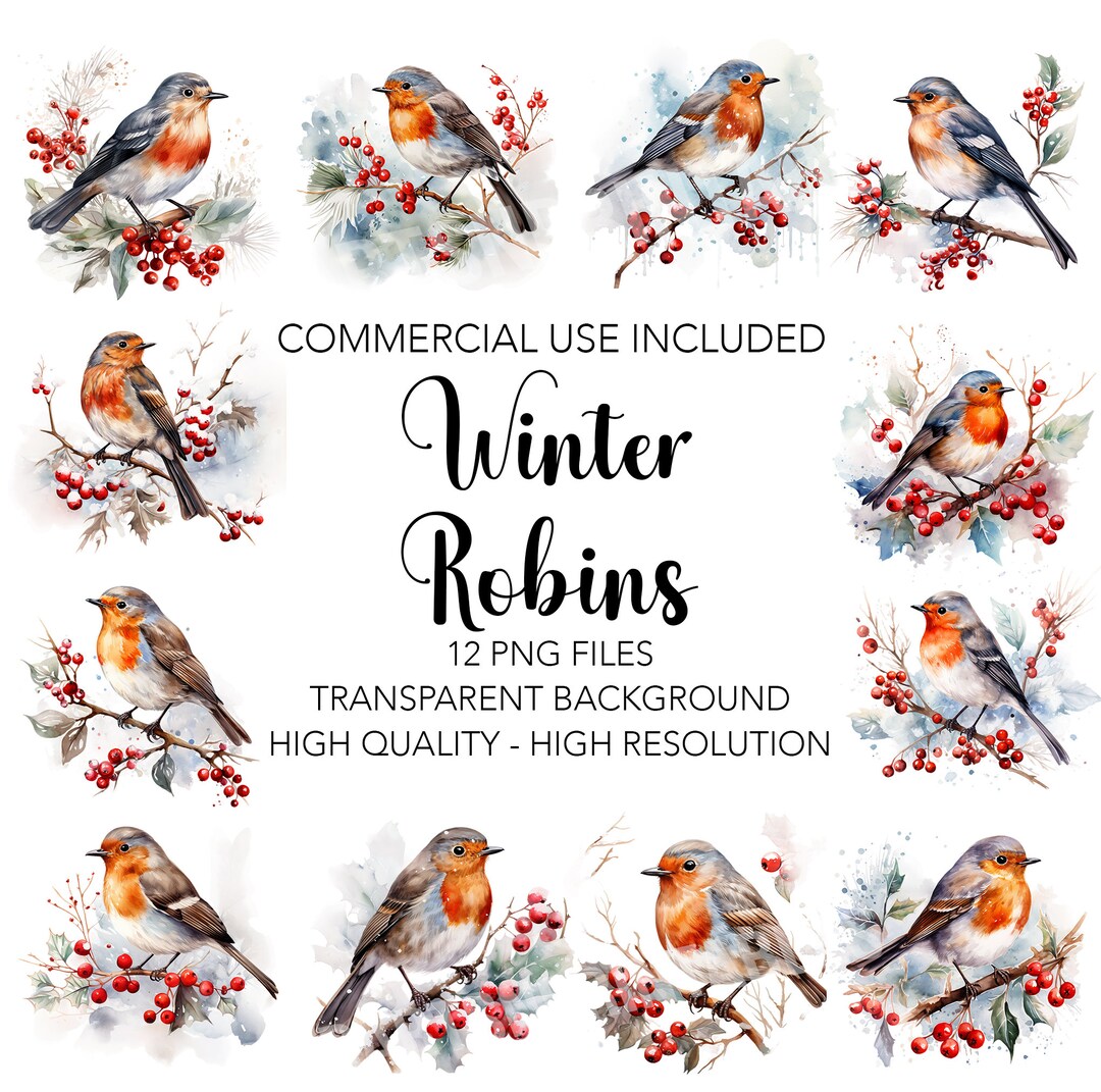 Winter Robins Clipart - 12 High Quality Transparent Background Pngs ...