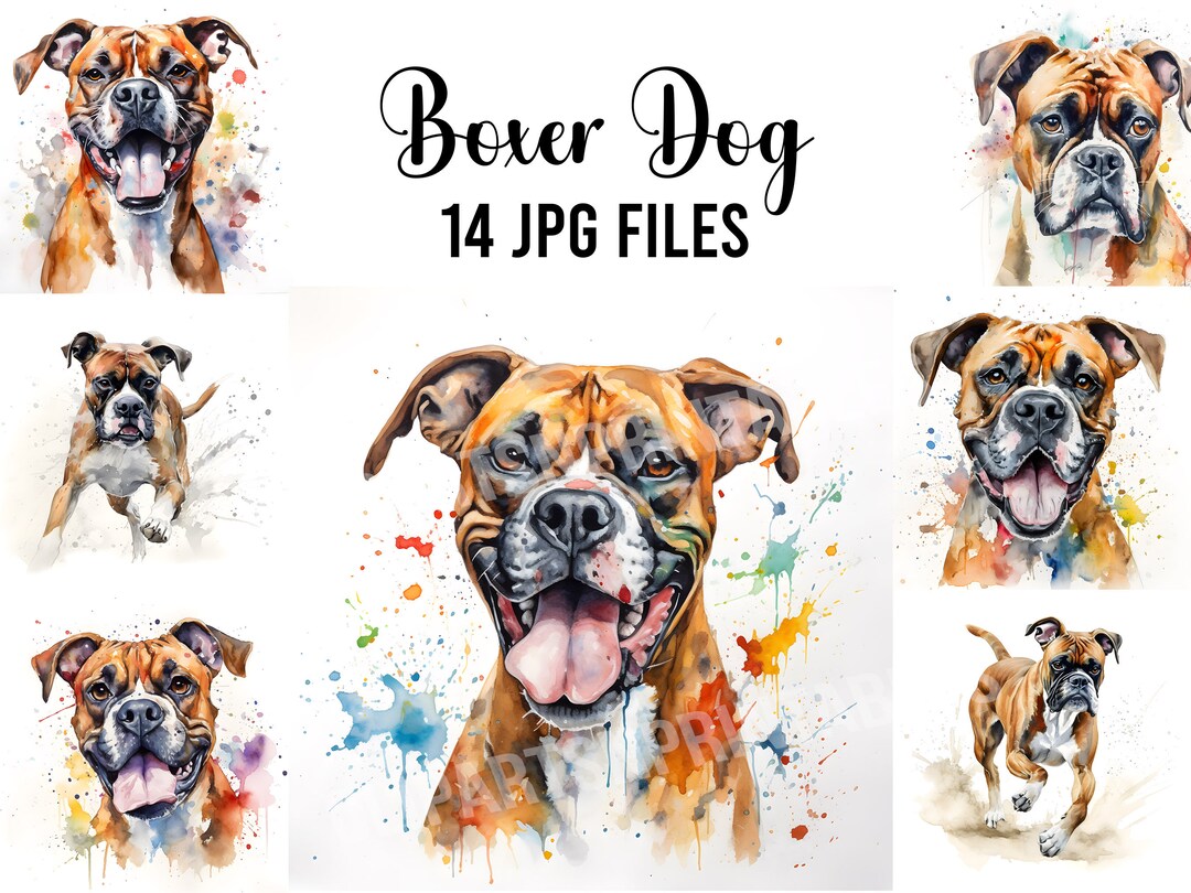 Boxer Dog Clipart, 14 JPG Files for Digital Download, Card Making, Clip ...