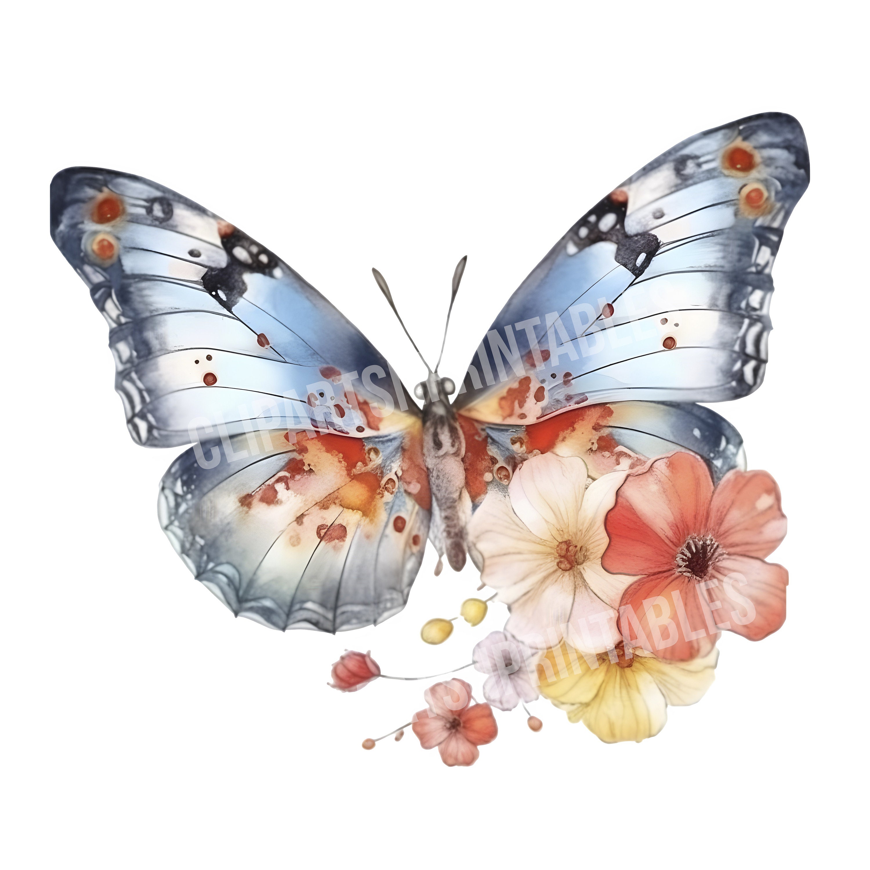 Butterfly and Flowers Watercolor Clipart, 12 Pngs and Jpgs and for ...