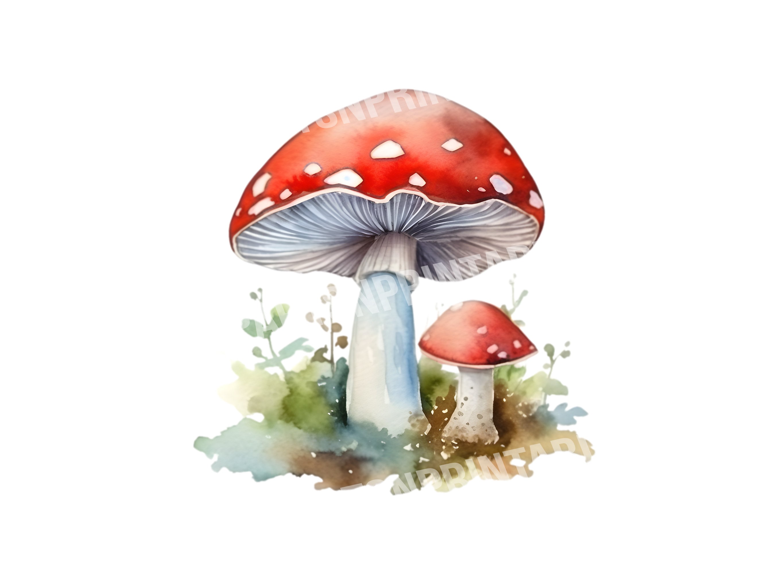 Toadstools Clipart 12 High Quality Transparent Background Pngs Digital ...