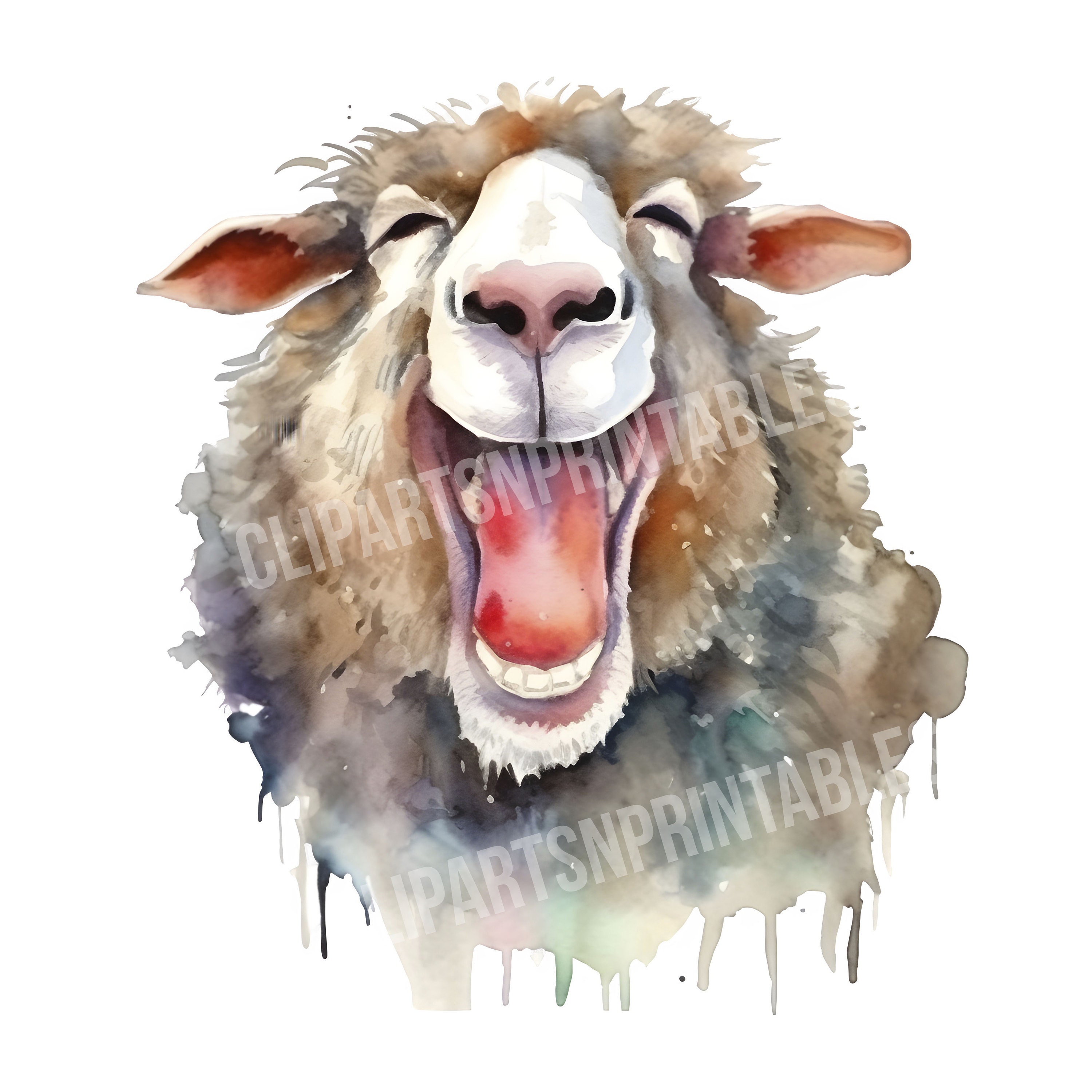 Sheep Watercolor Clipart, 12 Pngs and Jpgs and for Digital Download ...