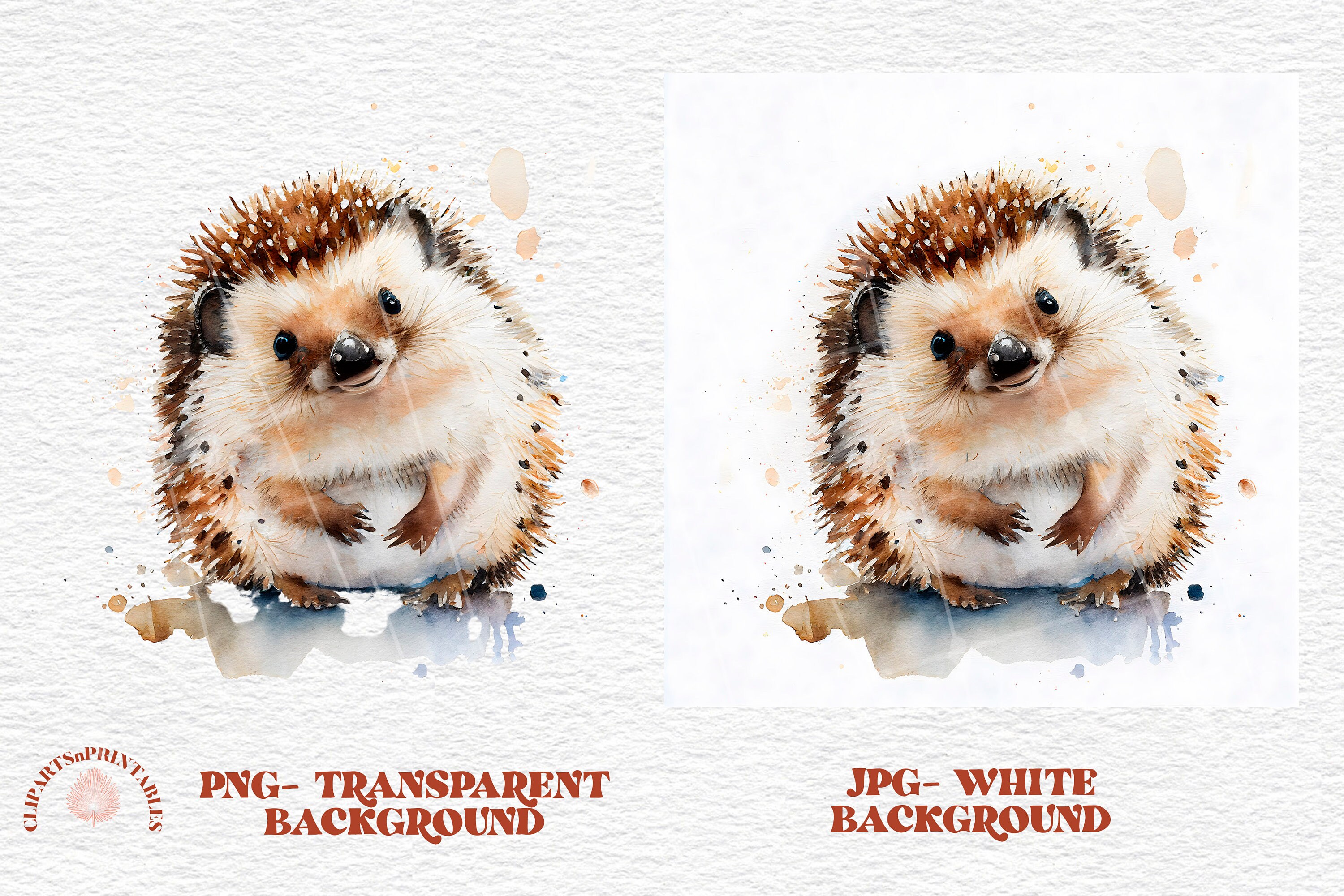 Cute Hedgehogs Smiling Clipart, JPG and PNG Files for Digital Download ...