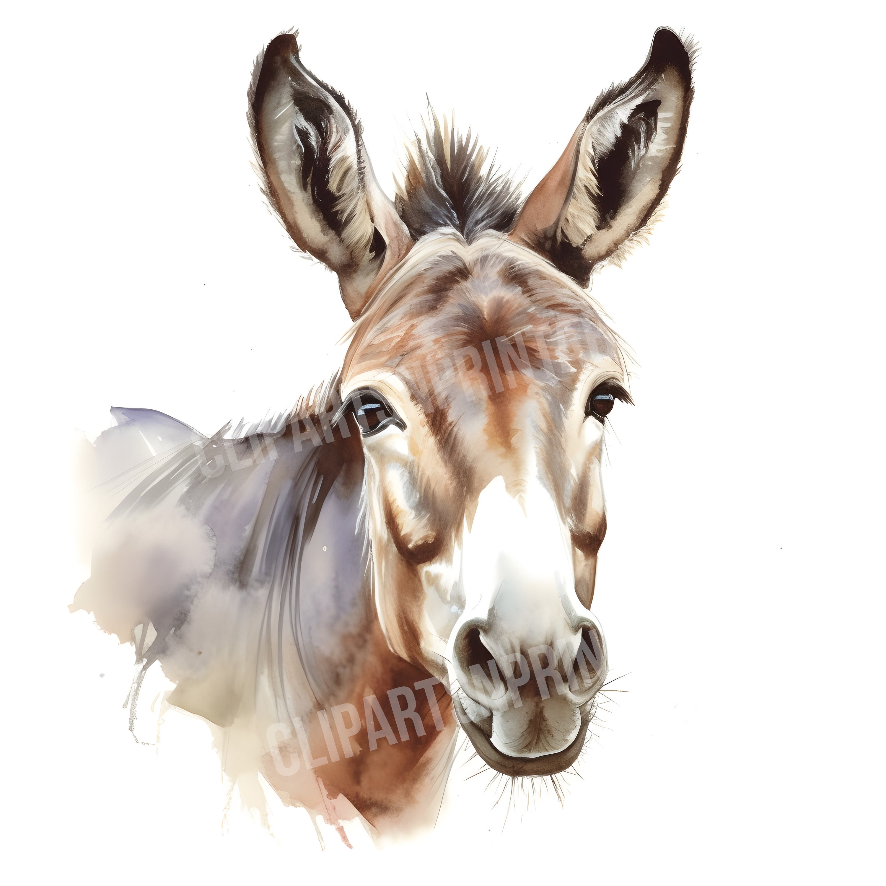 Donkey Watercolor Clipart, 12 Jpgs for Digital Download, Card Making ...