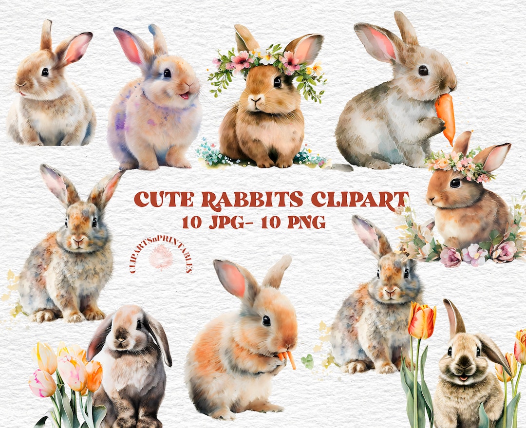 Cute Rabbits Clipart, JPG and PNG Files for Digital Download, Card ...