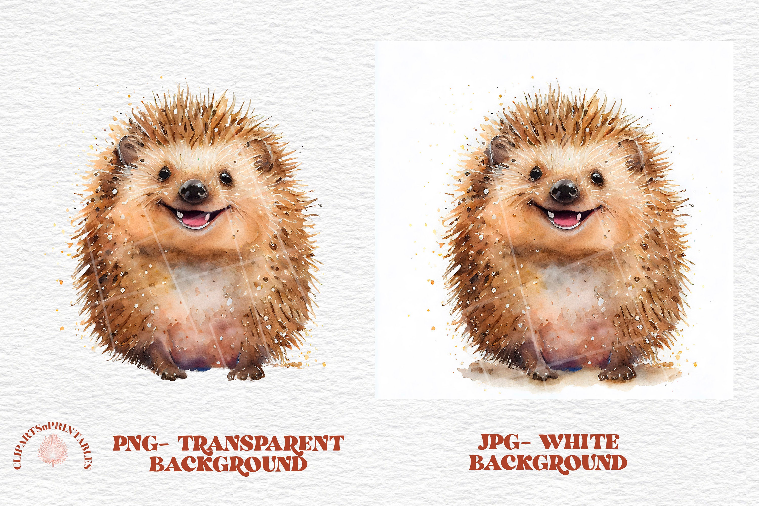 Cute Hedgehogs Smiling Clipart, JPG and PNG Files for Digital Download ...