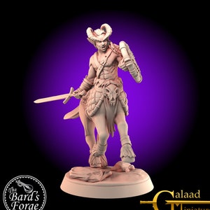 Centaur 6 • Sagittarius • Fey • Feywild • Galaad Miniatures • Into the ...
