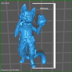 Rogue Catfolk • Tabaxi • Cat • KAW • Miniature • 3D Resin Printed 28 ...