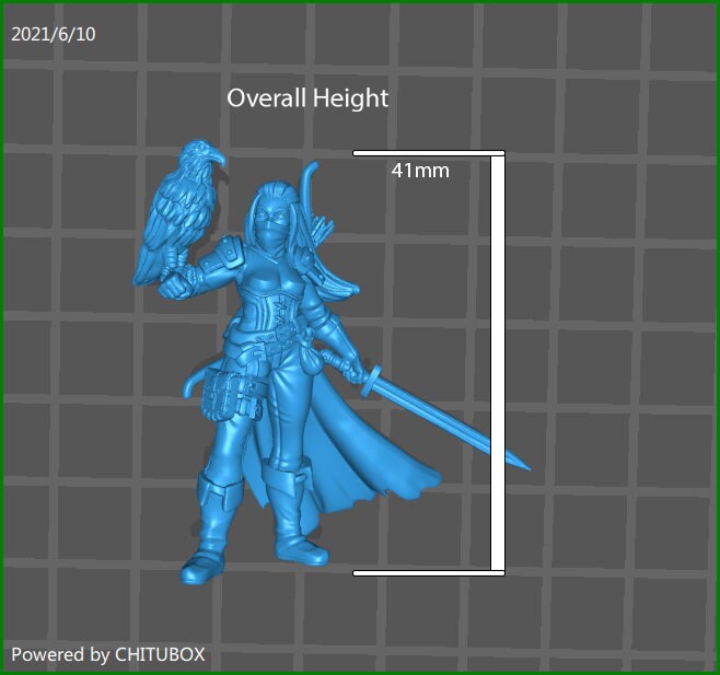 Female Ranger With Owl Hero Warrior Galaad Miniatures | Etsy