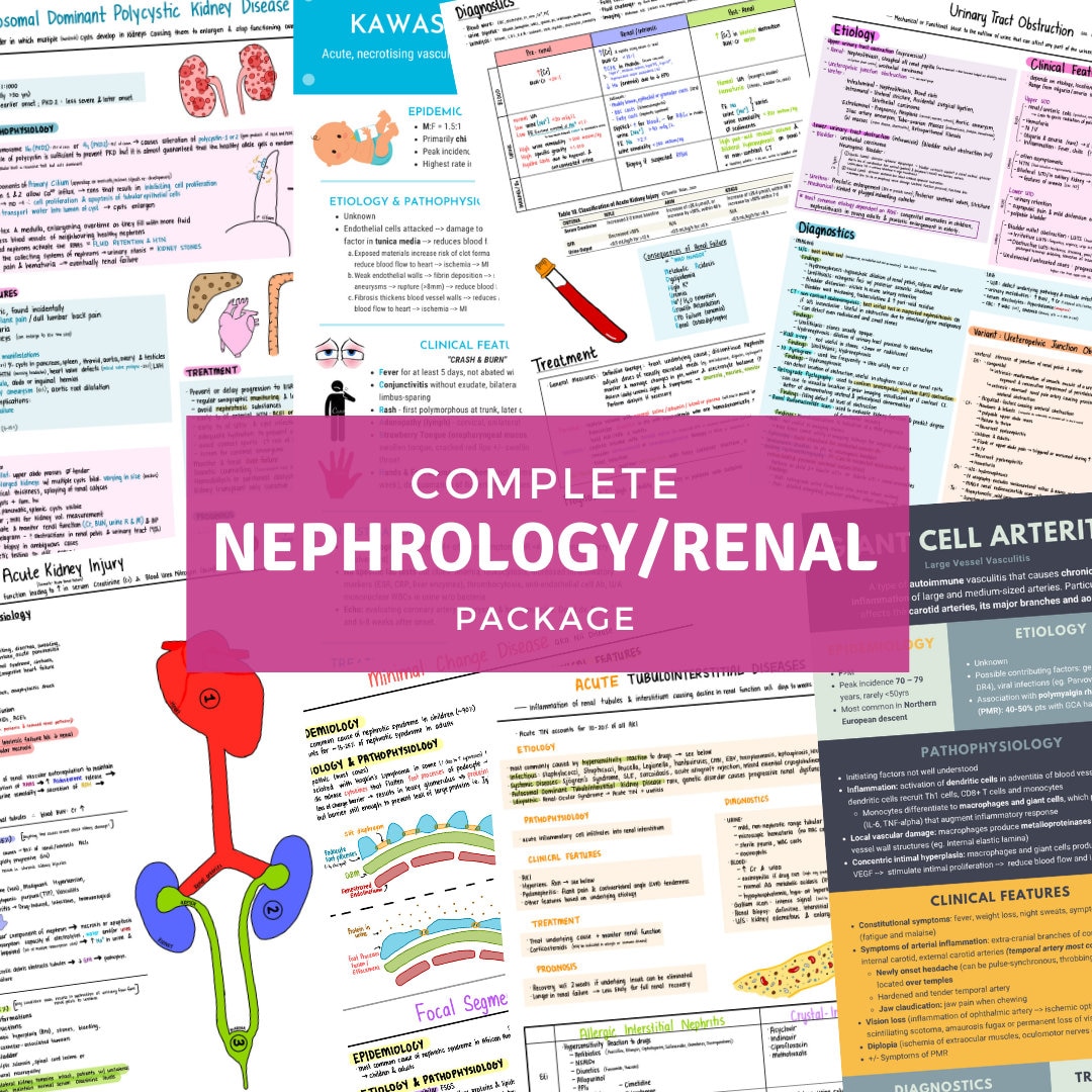 Nephrology/renal Complete - Etsy