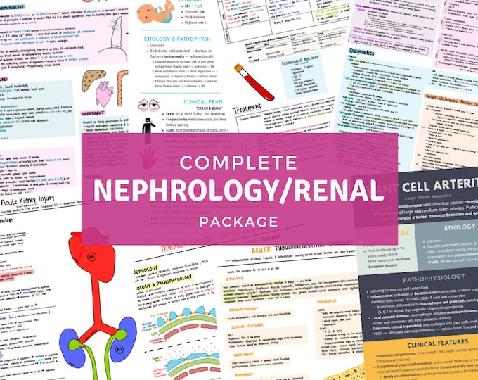 Nephrology/renal Complete - Etsy
