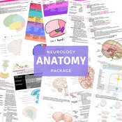 Brain and Neuroscience Therapy and Education Bundle: - Etsy Canada