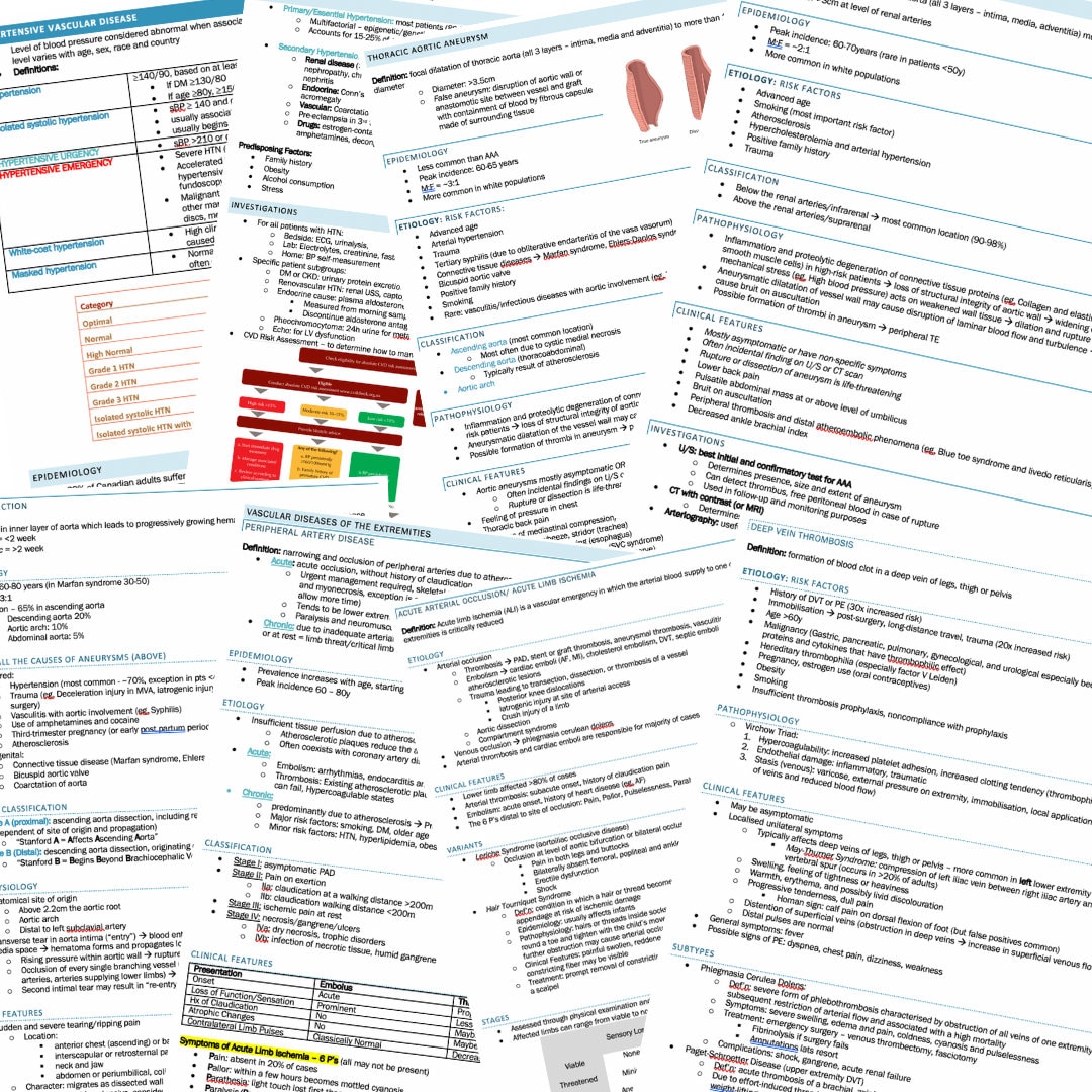 Cardiology Study Guide Bundle (144 Pages) - Etsy