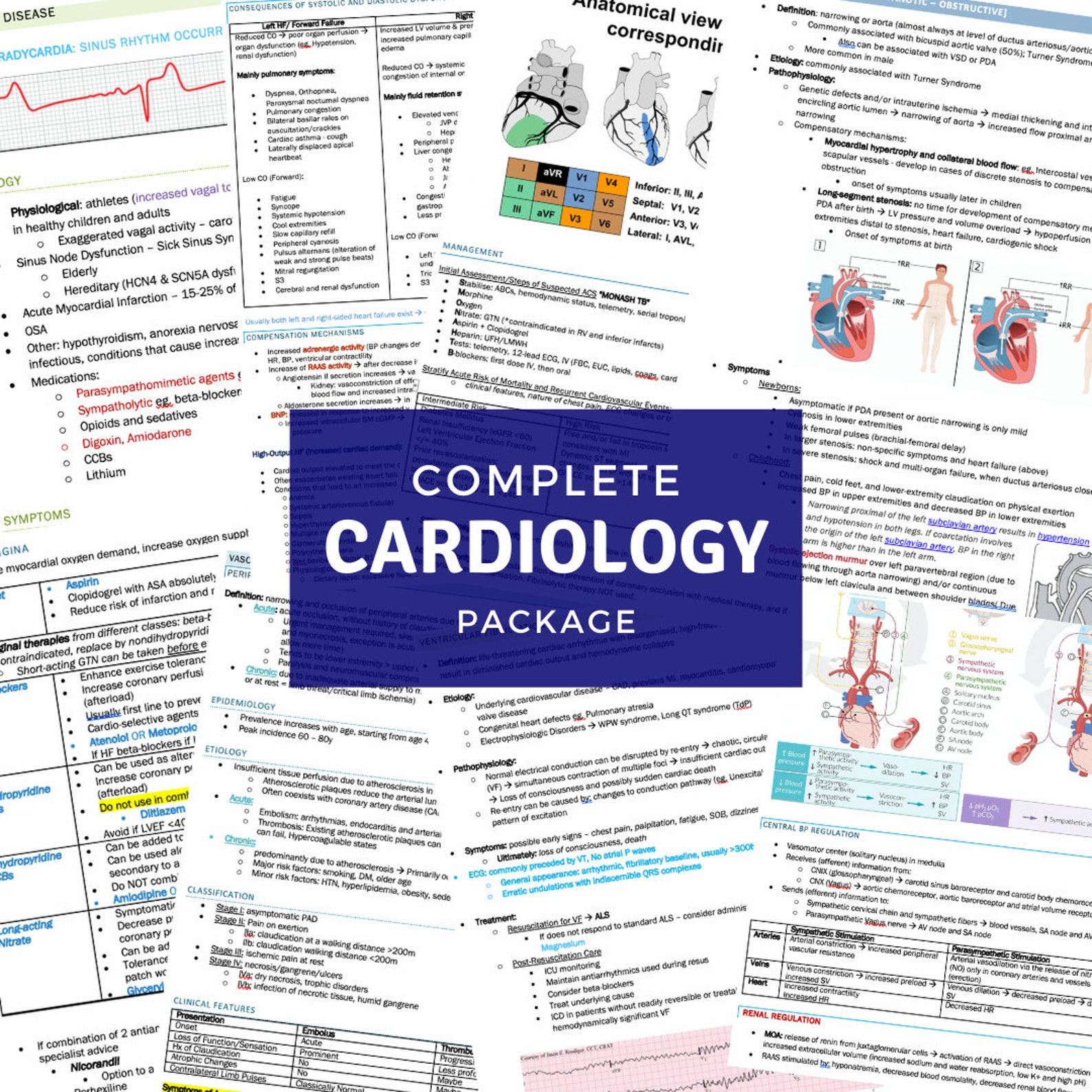 Cardiology Study Guide Bundle (144 Pages) - Etsy