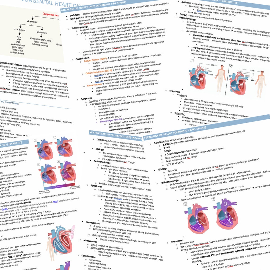 Cardiology Study Guide Bundle (144 Pages) - Etsy