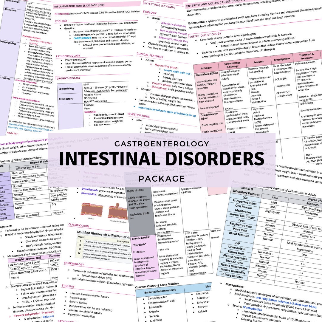 Intestinal Disorders: IBD, Enteritis, Diverticulitis & More! - Etsy