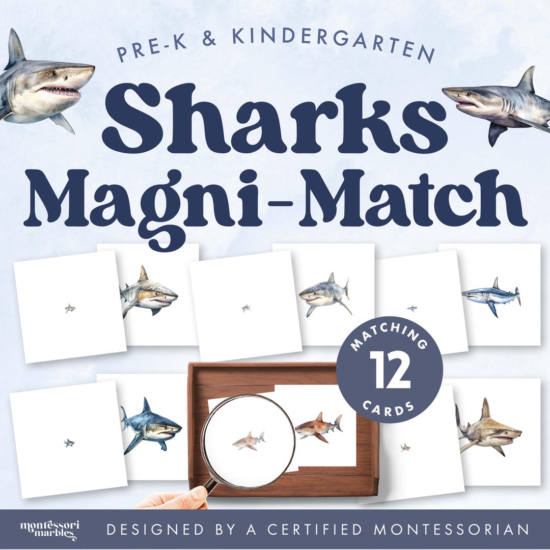 Sharks Magni Match | 12 Species Matching Activity | Montessori Ages 3-6 ...