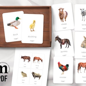FARM ANIMALS Flash Cards Montessori Inspired Printable Resources ...