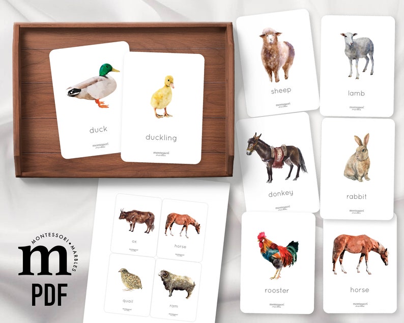 FARM ANIMALS Flash Cards Montessori Inspired Printable Resources ...