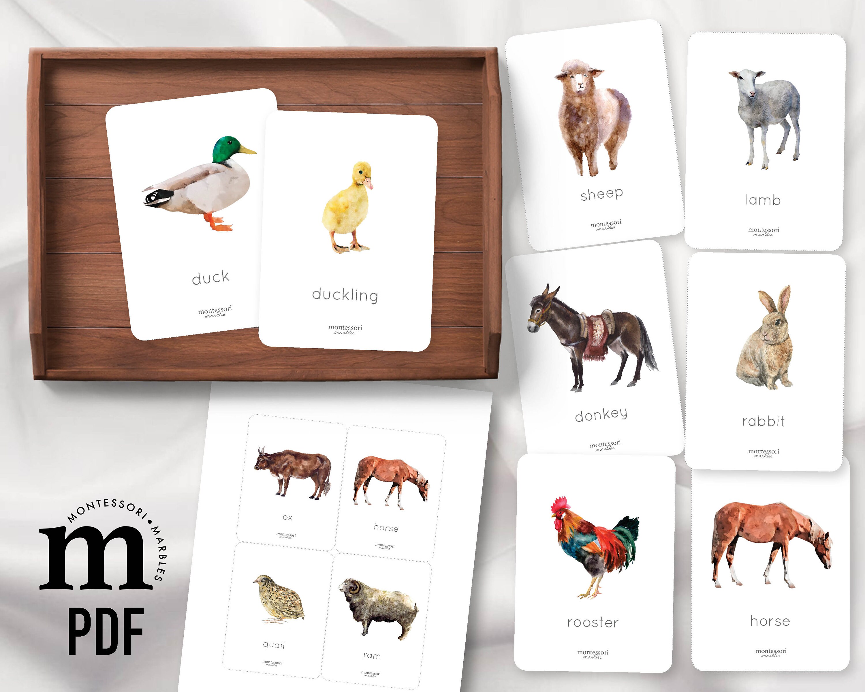 FARM ANIMALS Flash Cards Montessori Inspired Printable Resources ...