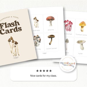 MUSHROOM Flash Cards | Montessori Inspired Fall Autumn Vocabulary ...