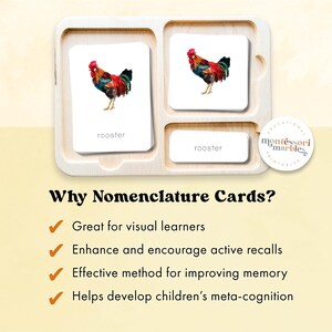 FARM ANIMALS Montessori Nomenclature Cards, Montessori Homeschool Prek ...