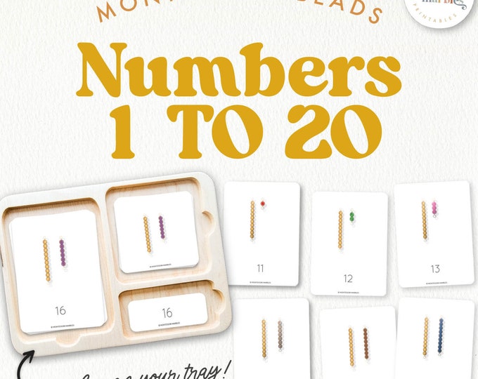 Montessori Decimal Board Package PDF, Learning Decimals - Etsy Canada