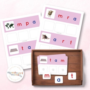 Montessori Pink Series Jumbled Word Cards for Short A, Activity for ...