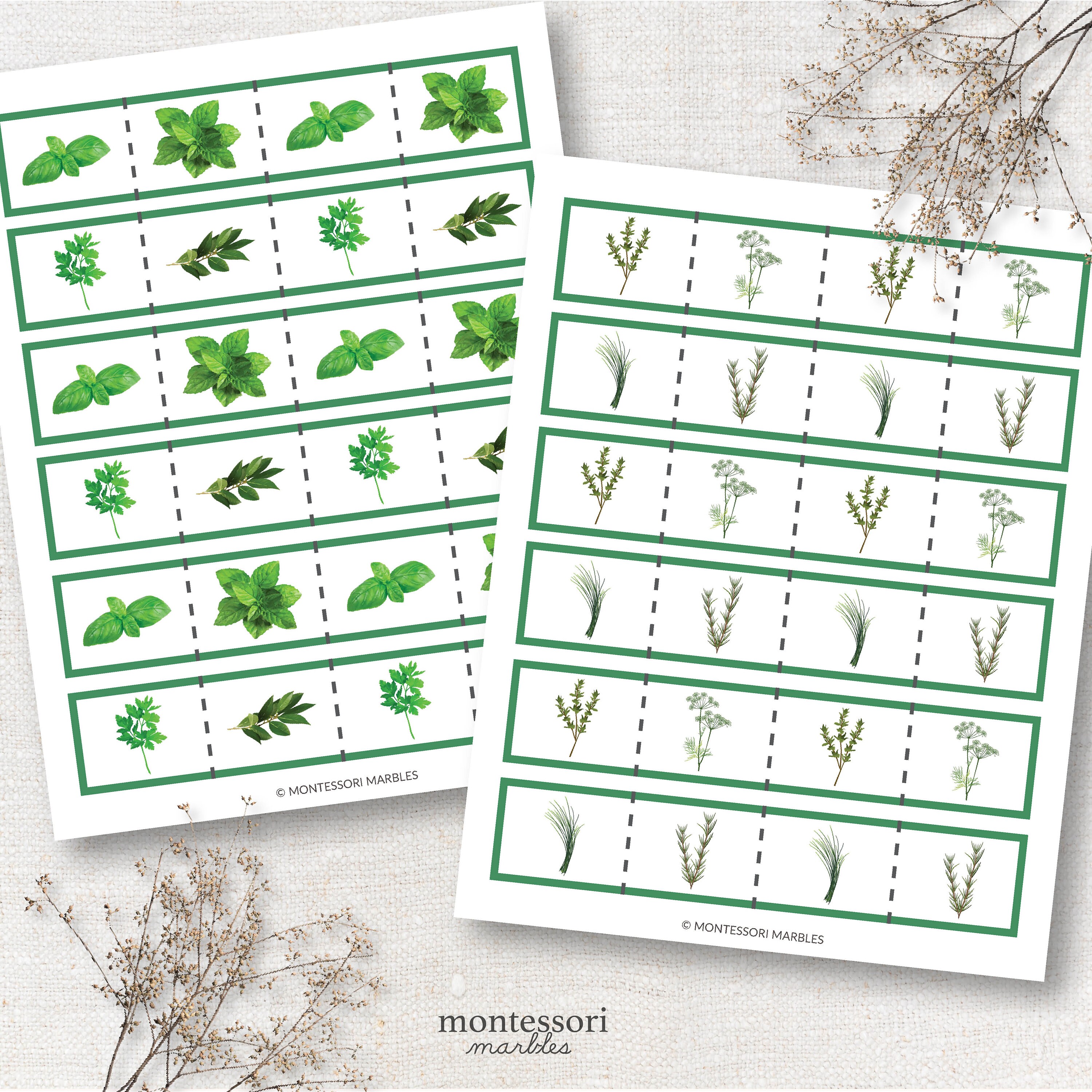 HERBS Cutting Strips for Montessori Toddler PreK Homeschool - Etsy France