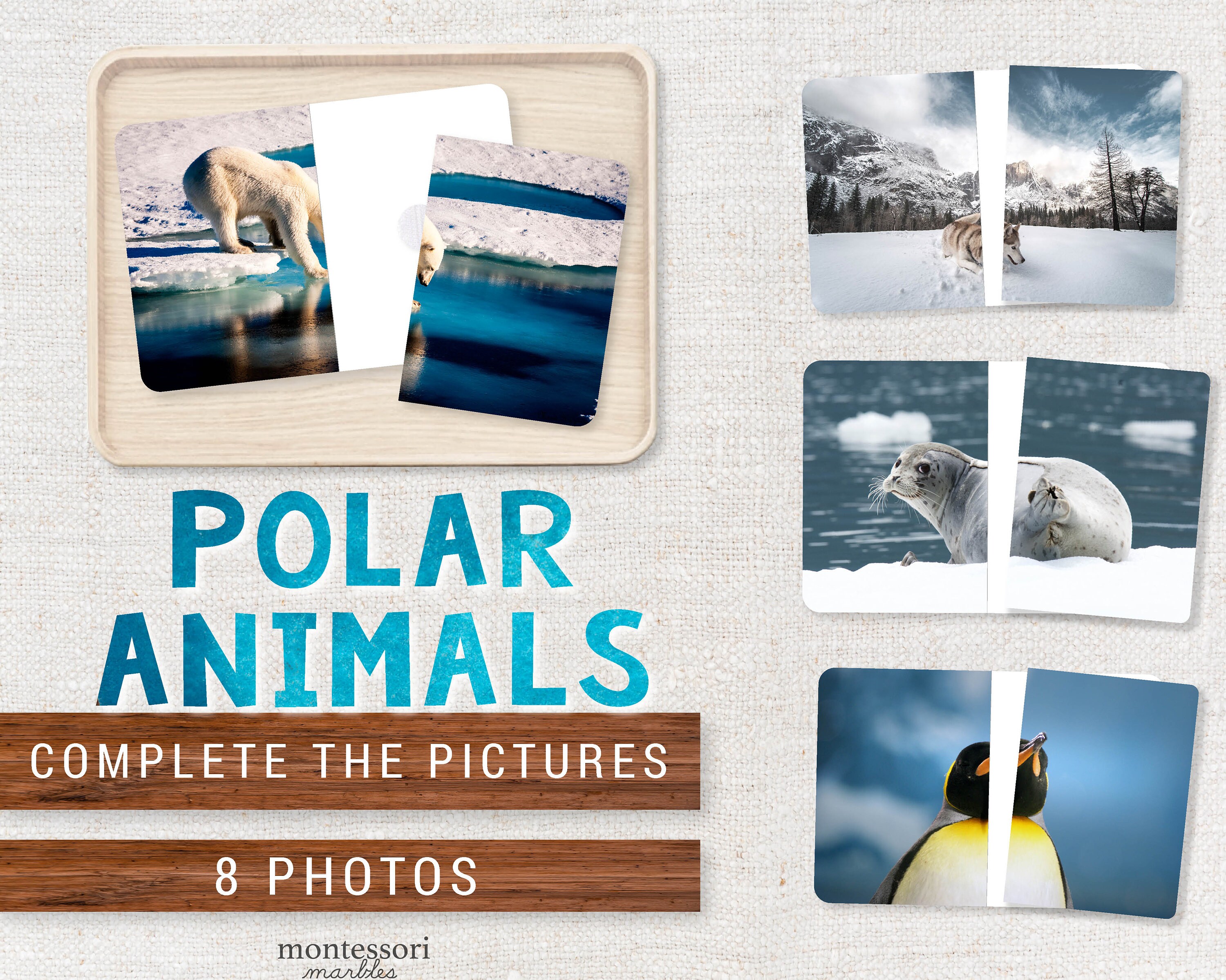 POLAR ANIMALS Montessori Picture Matching Activity Toddlers - Etsy