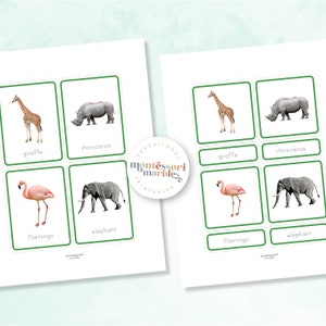 ANIMALS OF AFRICA Montessori Nomenclature Cards | Nature-based Learning ...