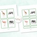 ANIMALS OF AFRICA Montessori Nomenclature Cards Nature-based Learning ...