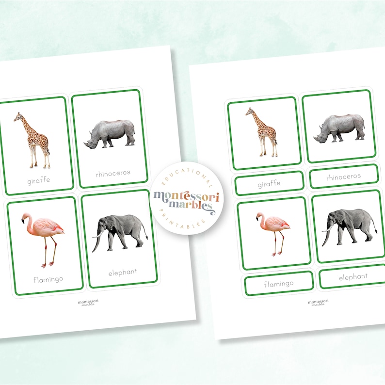 ANIMALS OF AFRICA Montessori Nomenclature Cards Nature-based Learning ...