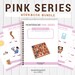 BUNDLE Montessori Pink Series Workbooks Short A E I O U CVC | Etsy