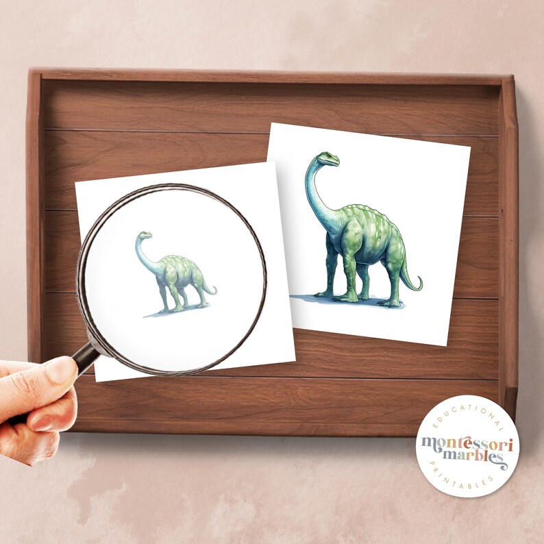 Dinosaurs Magnifying Matching Game | Montessori Visual Skills ...