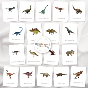 DINOSAURS Flash Cards | 18 Flashcards | Montessori Inspired Homeschool ...