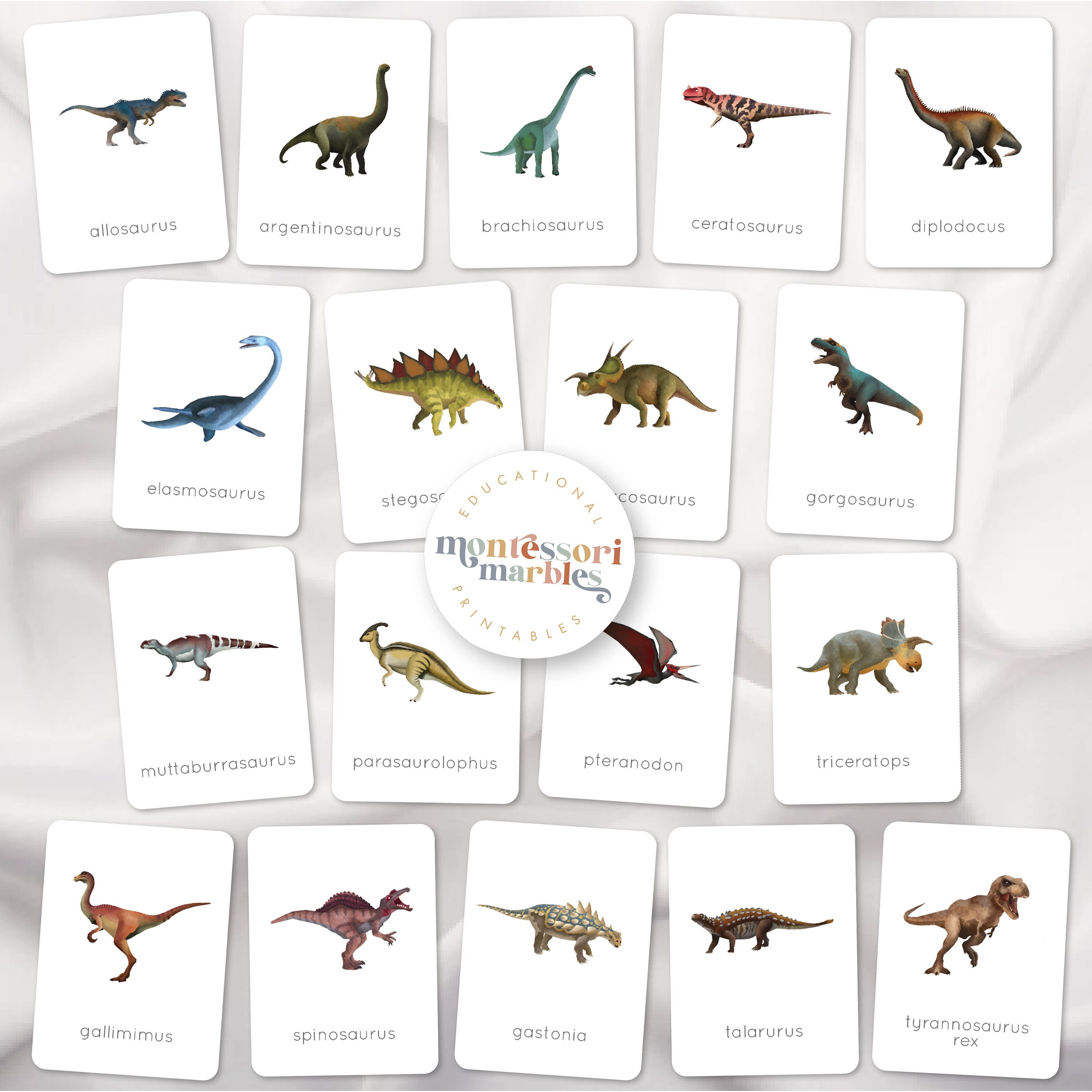 Dinosaurs Flash Cards | Montessori Paleontology Vocabulary | Dinosaur ...