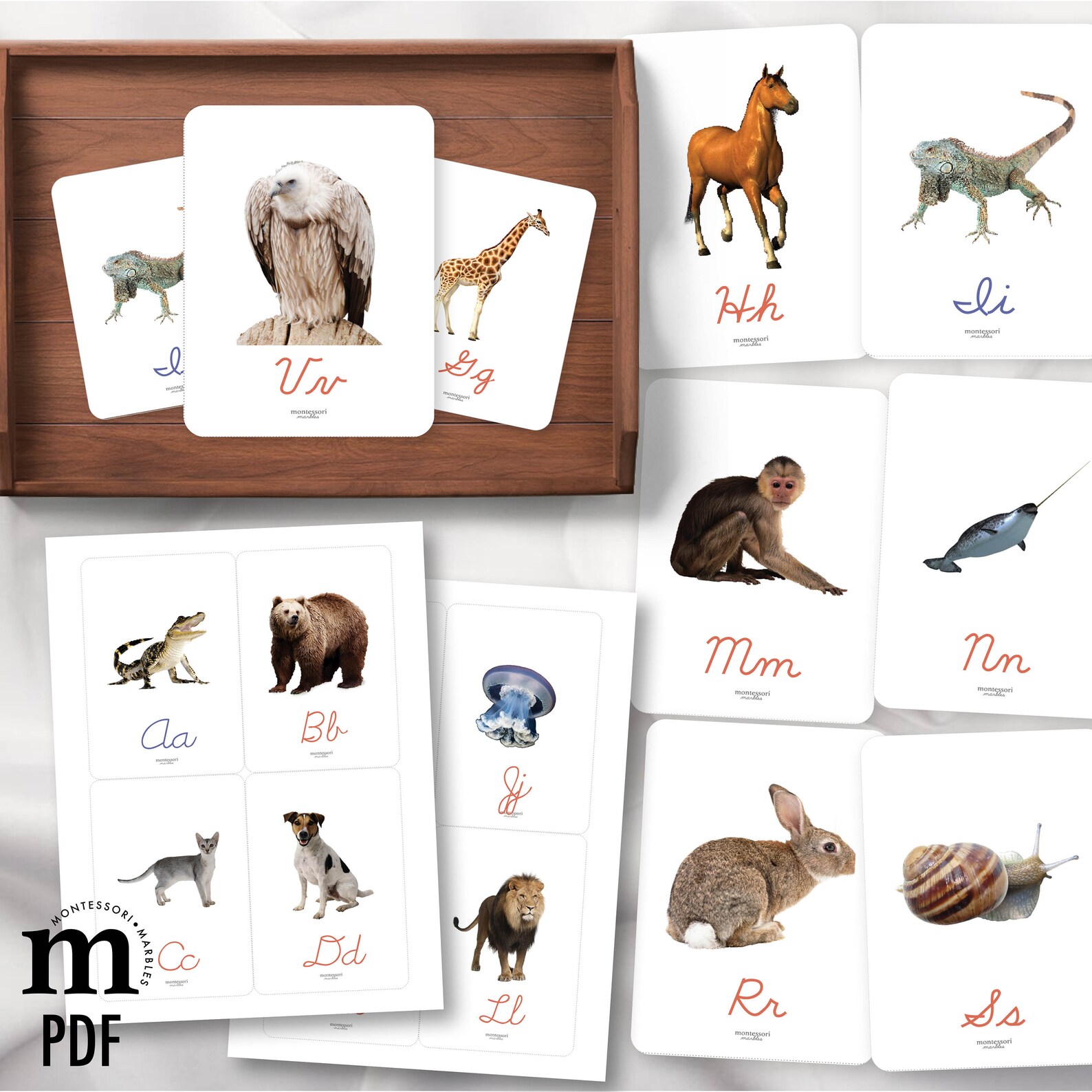 CURSIVE BEGINNING SOUNDS Flash Card Montessori, Phonics, Vocabulary ...