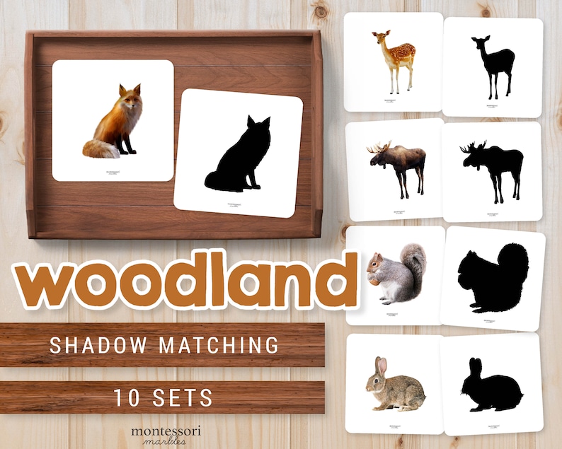 WOODLAND ANIMALS Shadow Matching Montessori Inspired - Etsy