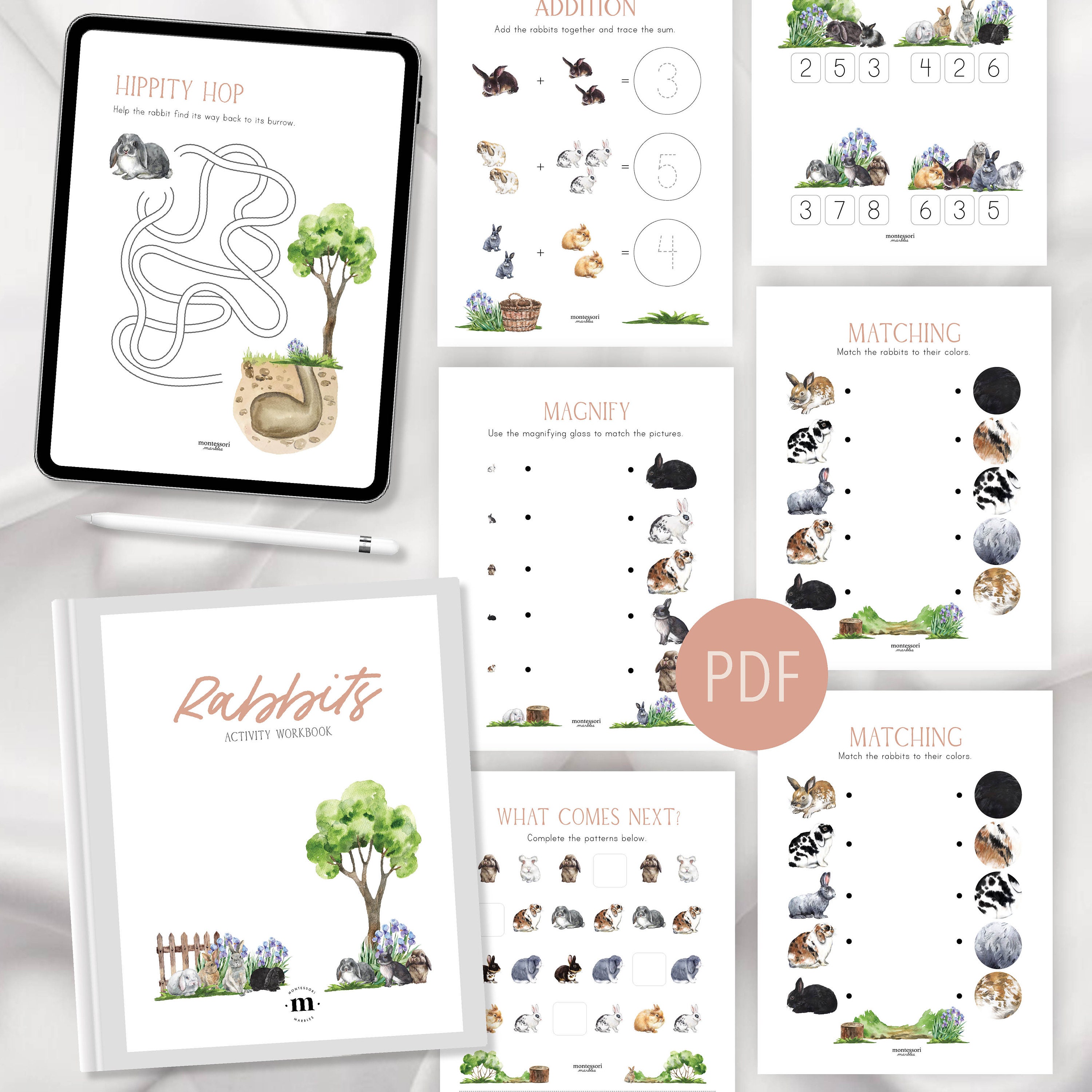 RABBIT Activity Workbook and Flash Cards Parts of a Rabbit - Etsy