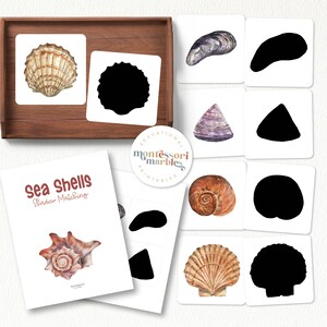 SEASHELLS Shadow Matching Silhouette Matching Montessori Inspired ...